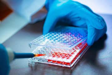 Pharmaceutical Liquid Filling Equipment, Medical Liquid Filler Machines ...